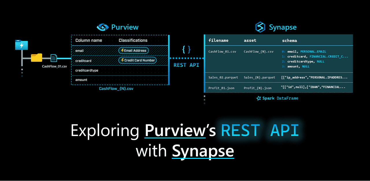 Exploring Purview’s REST API with Synapse | Raki Rahman