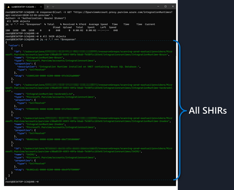 Automating Purview Integration Runtime with the Proxy API | Raki Rahman